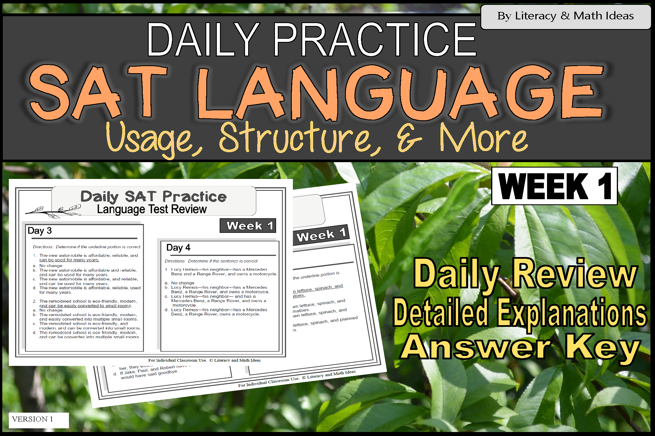 Daily (New) SAT Language Test Practice (Week 1) – Literacy and Math Ideas
