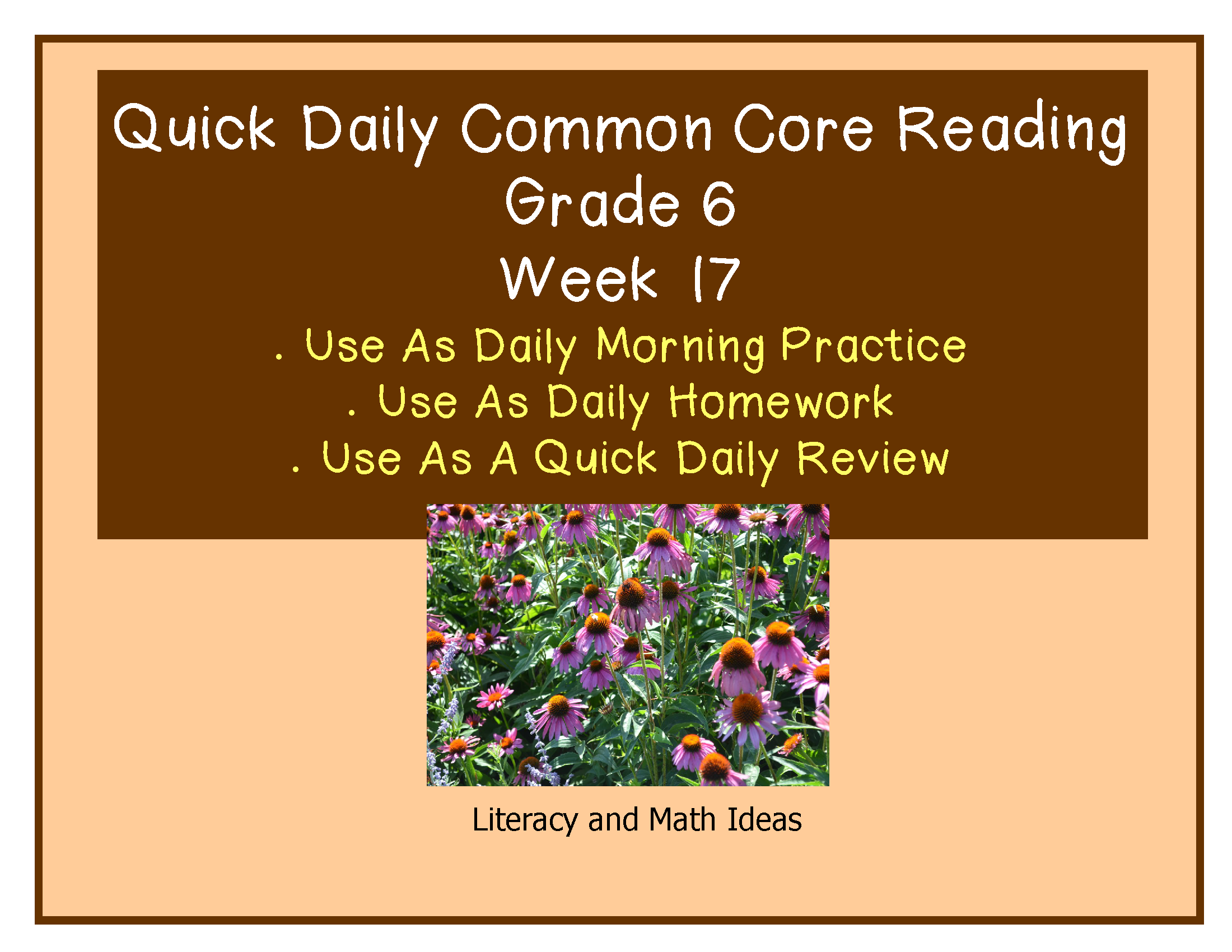 Grade 6 Daily Common Core Reading Practice Week 17 – Literacy and Math ...