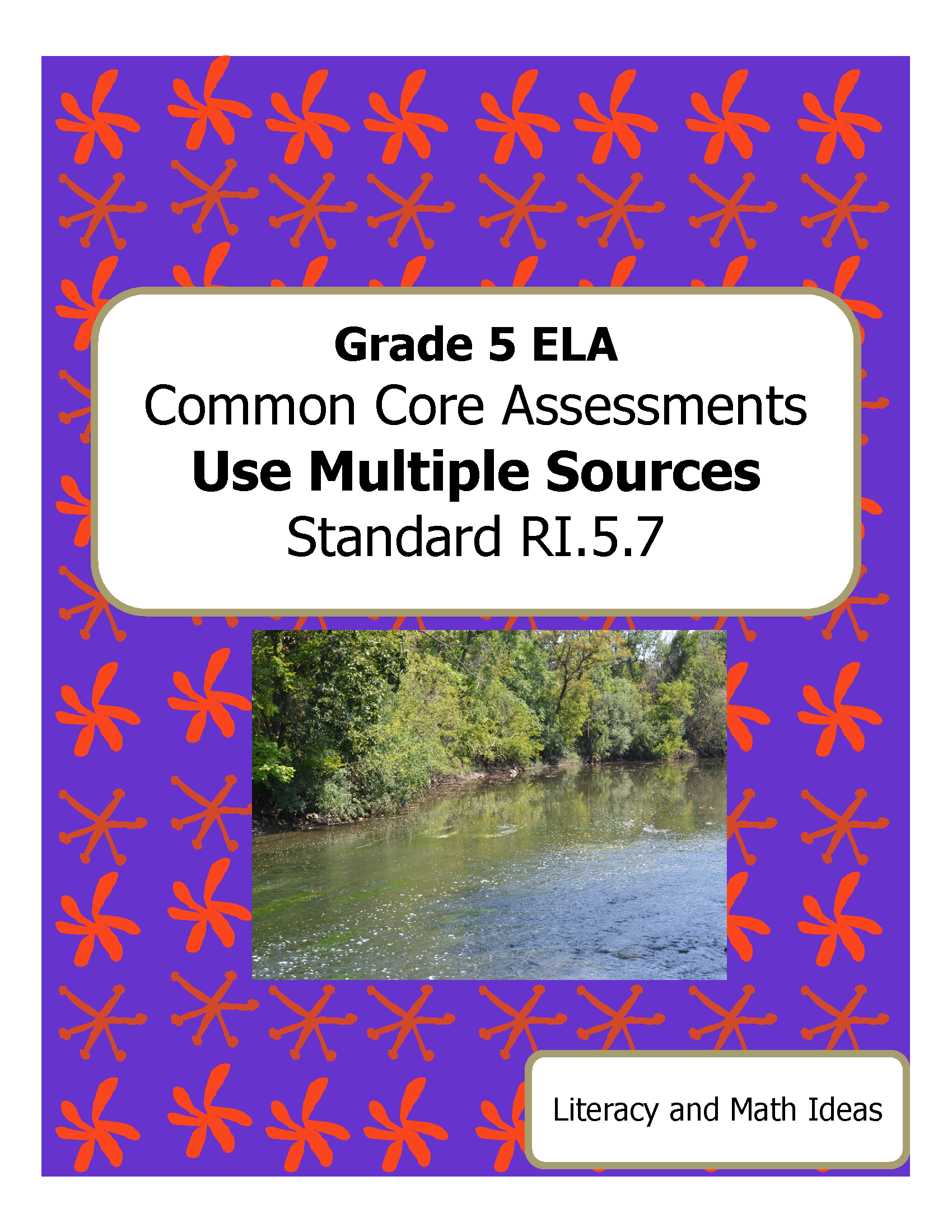 Grade 5 Common Core Assessments: Use Multiple Sources RI.5.7 – Literacy ...