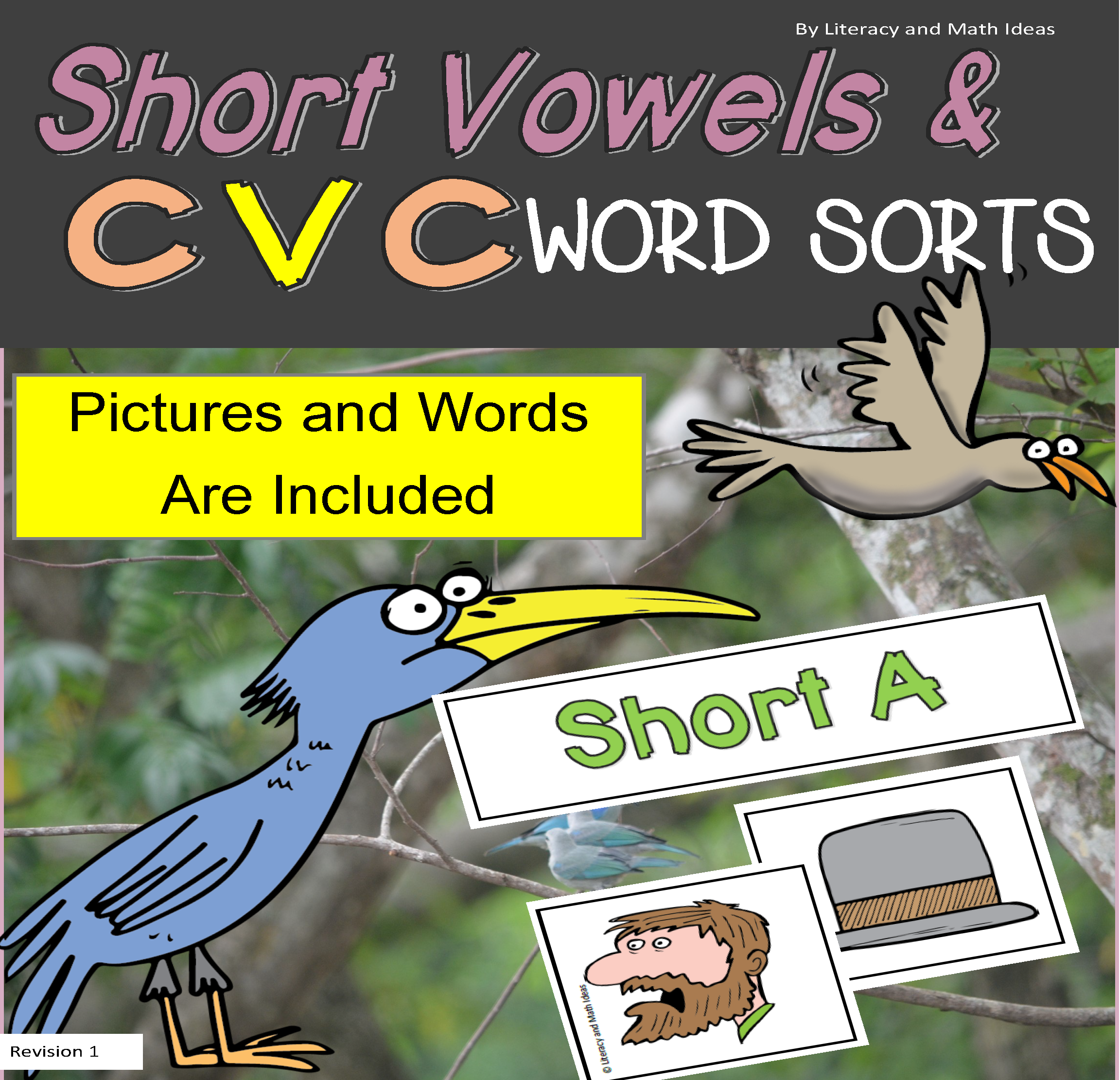 Short Vowels and CVC Word Sorts – Literacy and Math Ideas