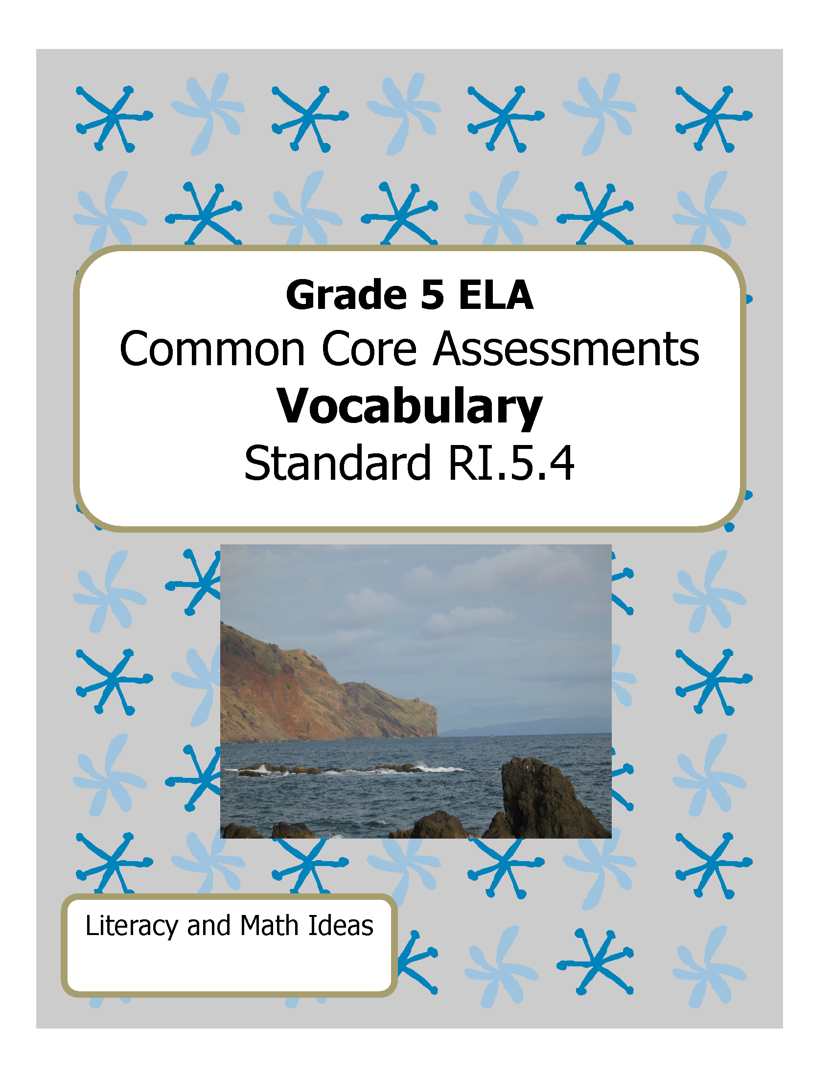 Grade 5 Common Core Assessments: Vocabulary RI.5.4 – Literacy and Math ...