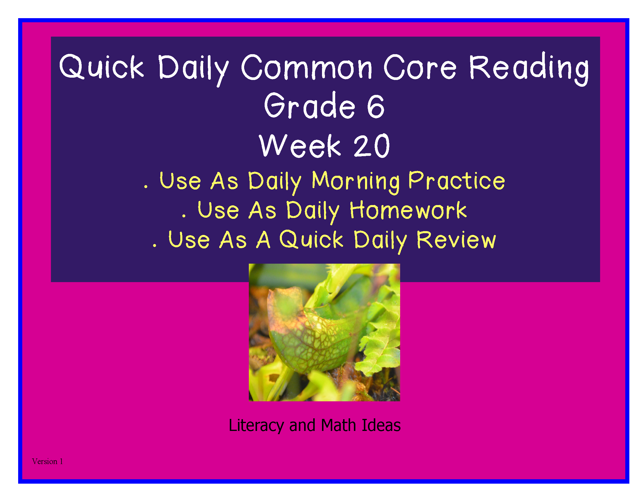 Grade 6 Daily Common Core Reading Practice Week 20 – Literacy and Math ...