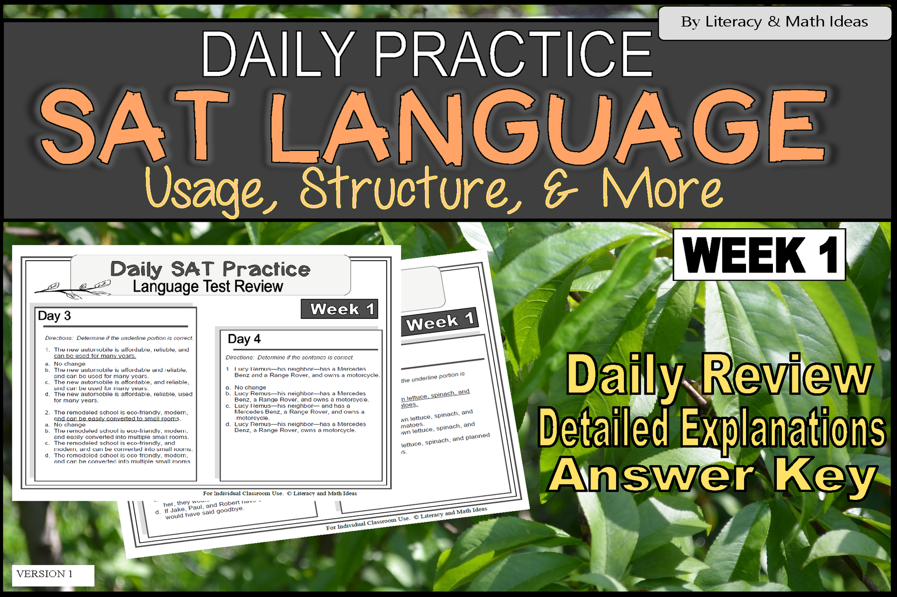 Daily (New) SAT Language Test Practice (Week 1) – Literacy and Math Ideas